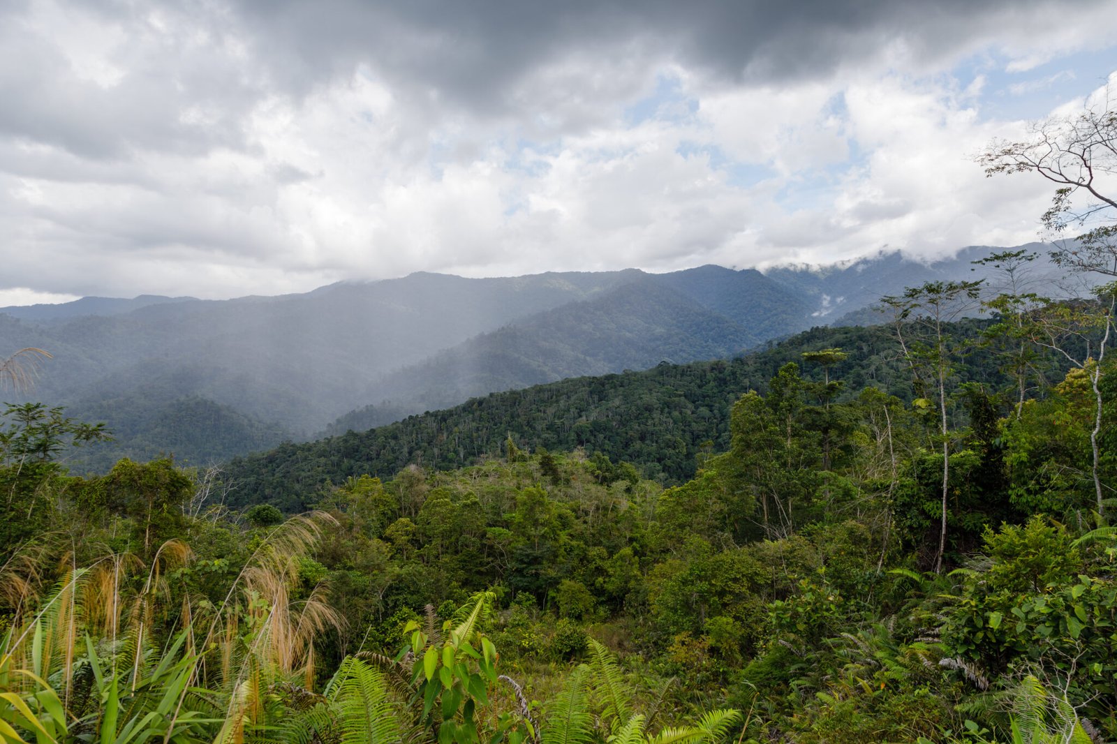 Crocker Range National Park, Sabah | MyTrip Malaysia
