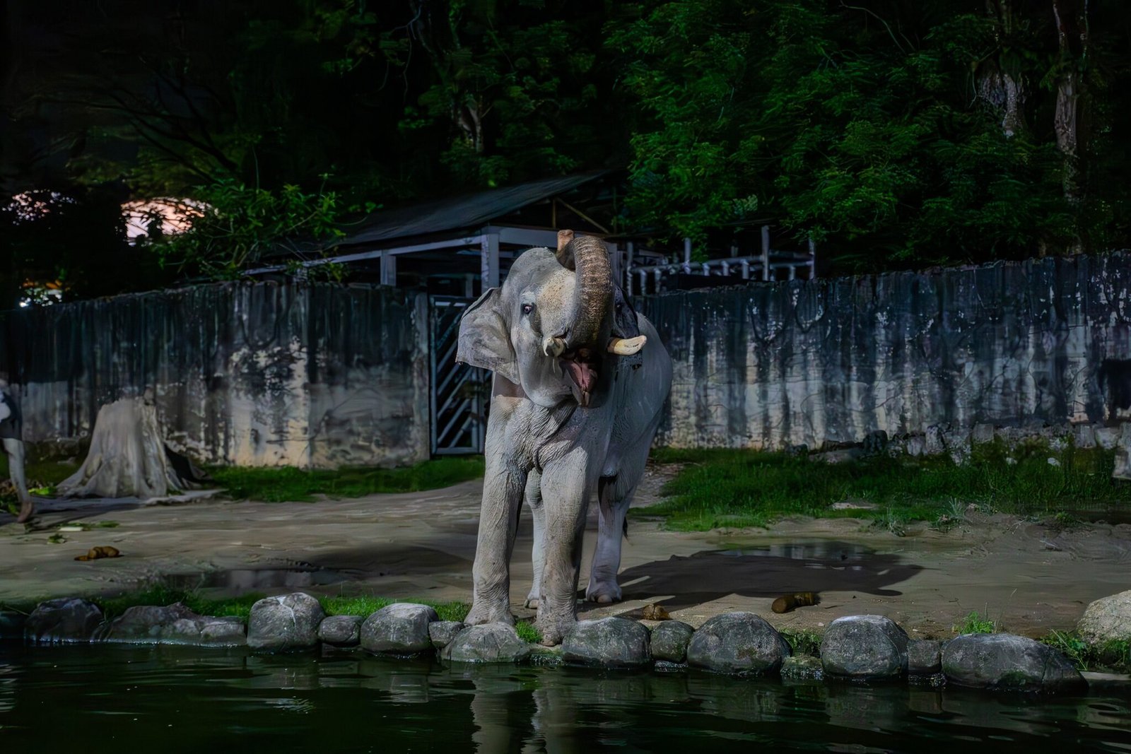 Zoo Taiping & Night Safari, Perak - MyTrip Malaysia Zoo