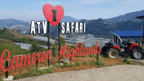 Air Swing @ Cameron Valley Tea 3 – Best Scenic Swing Experience in ...